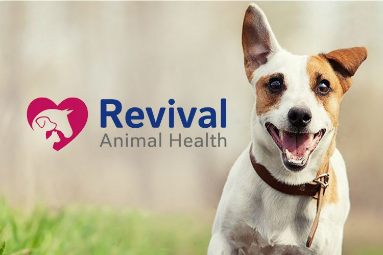 $20 Off at Revival Animal Health - TheCoupon.Co Blog