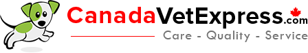 Canada Vet Express Coupons & Deals